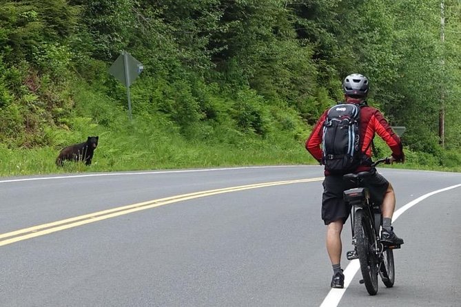 Ketchikan Electric Bike and Rain Forest Hike Ecotour - Authentic Voices: What Travelers Say