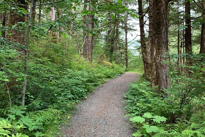 Ketchikan Exclusive Private Group Tour (Price up to 11 Passengers) - Accessibility and Participation Information