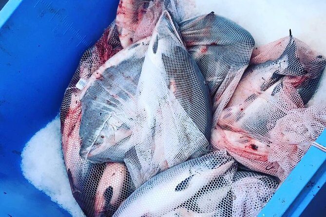 Ketchikan Fishing Charter - Exploring the Ketchikan Fishing Charter Experience