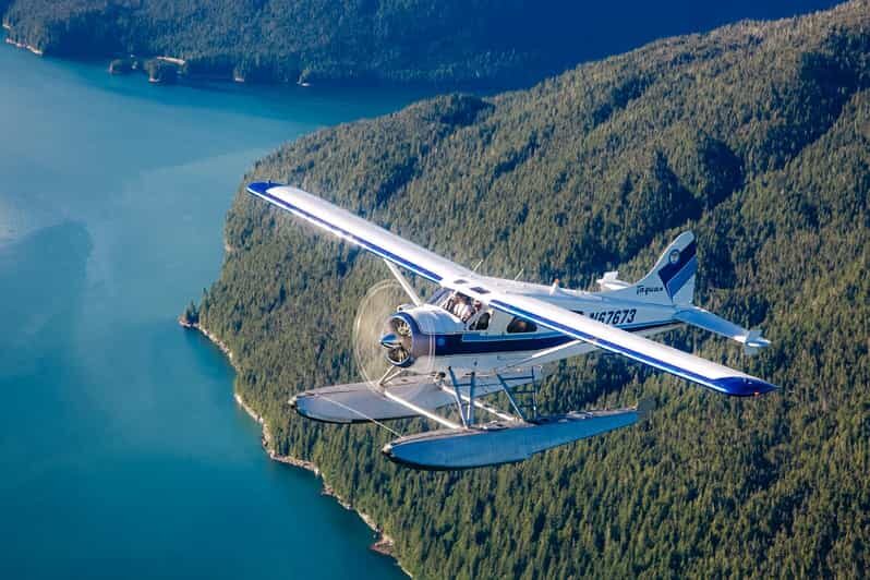 Ketchikan: Misty Fjords National Monument Floatplane Tour - Soaring Above Alaska: What to Expect from the Floatplane Tour