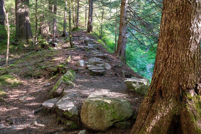 Ketchikan Mountain Lake Trek to Avalanche Chute - Who Should Consider This Tour?