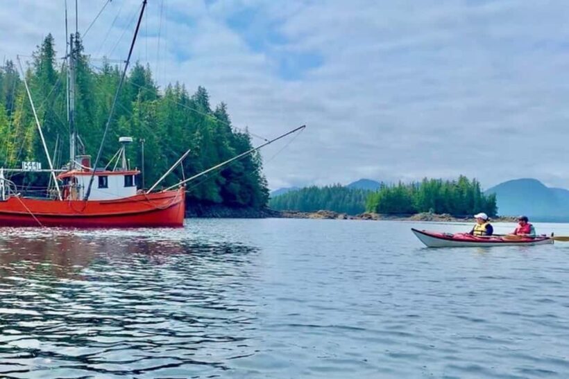 Ketchikan: Orca Cove Fast Boat and Sea Kayak Tour - Key Points