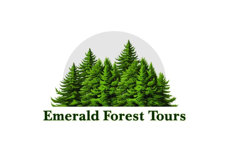 Ketchikan: Private Tour suitable for all ages! - Key Points