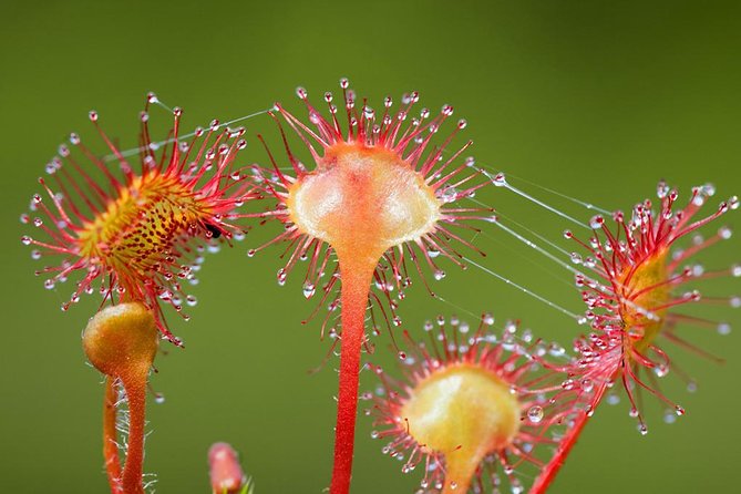 Ketchikan Rainforest Canoe and Nature Walk - Frequently Asked Questions