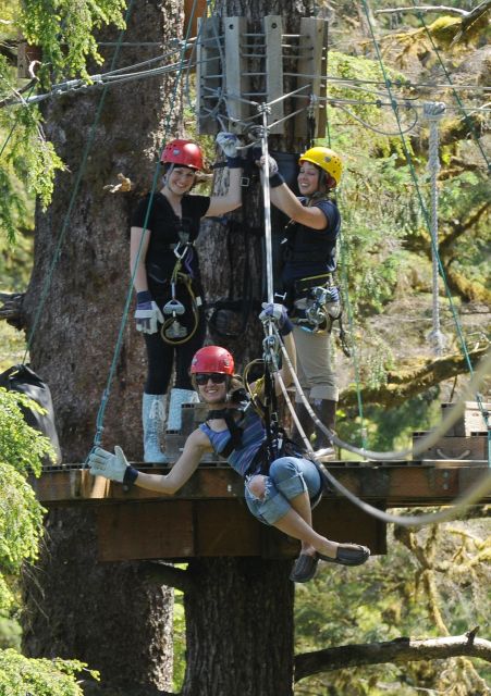 Ketchikan: Rainforest Canopy & Zipline Adventure - Key Points