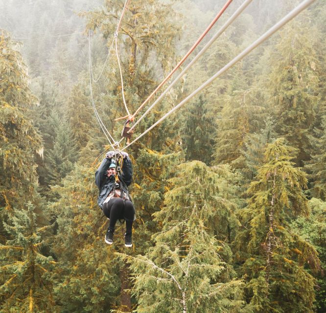 Ketchikan: Rainforest Canopy & Zipline Adventure - The Sum Up: Who Should Consider This Tour?