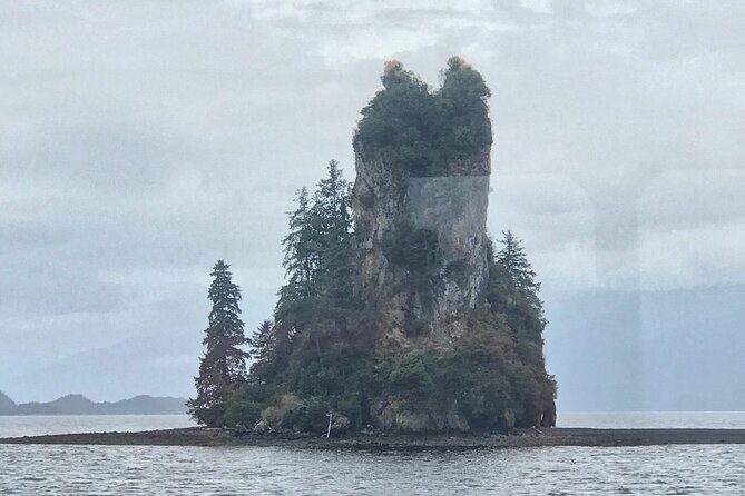 Ketchikan Whale Watching and Nature Tour - The Sum Up: Who Will Enjoy This Tour?