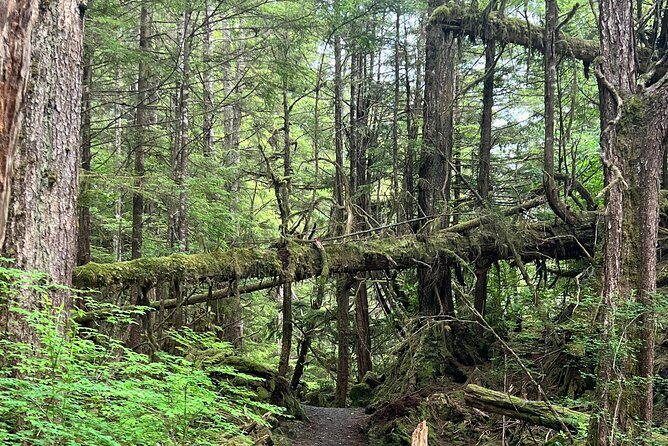Ketchikan's Favorite Cultural and Historical Sites - Authentic, Well-Rounded Experience