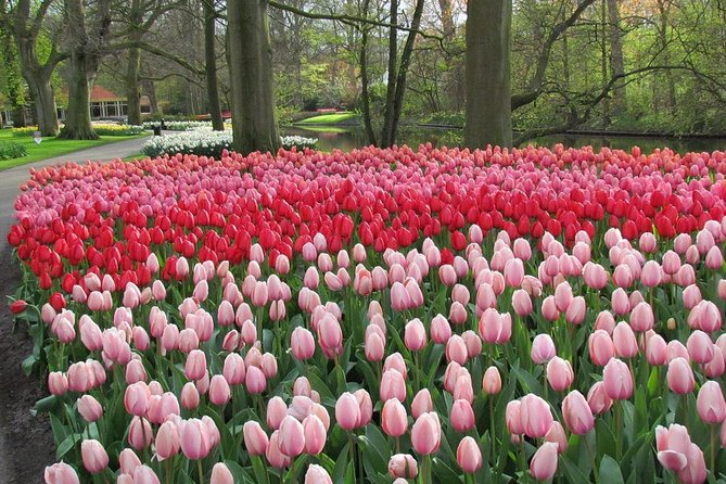 Keukenhof and Flower Fields Private Tour from Amsterdam - Authentic Experiences and the Value of a Private Tour