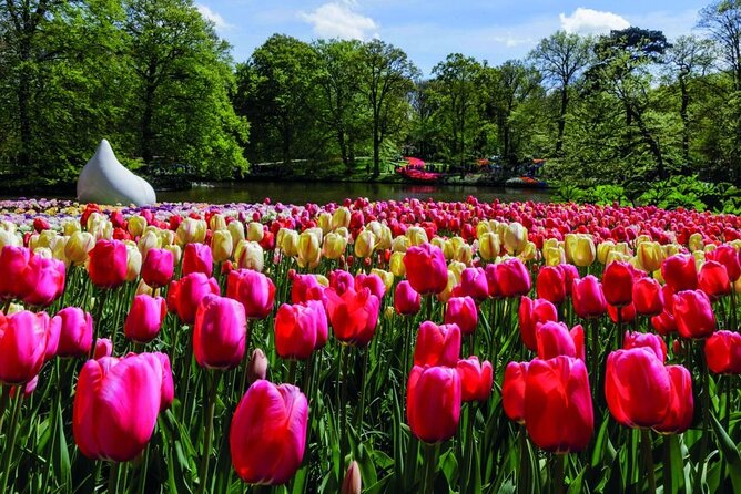 Keukenhof Entry Ticket plus Round-Trip Shuttle Bus from Amsterdam - What We Like About This Tour