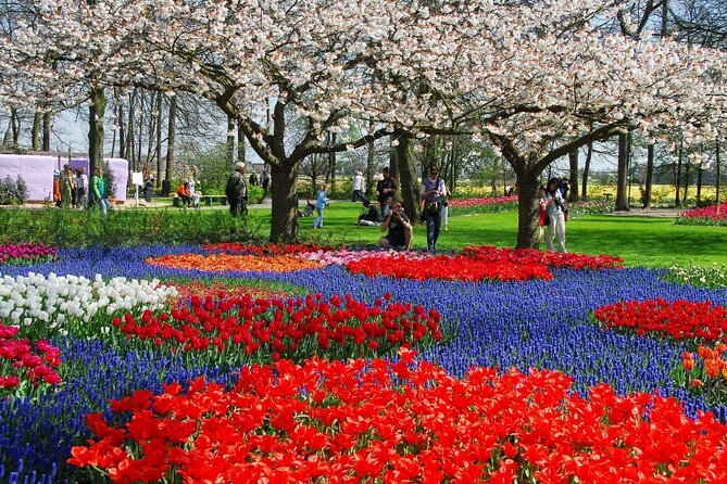 Keukenhof Entry Ticket plus Round-Trip Shuttle Bus from Amsterdam - FAQ