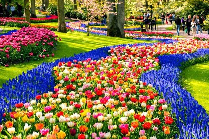 Keukenhof & Flowerfarm Tour From Amsterdam Skip-The-Line Tickets - Accessibility and Additional Information
