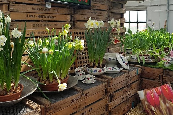 Keukenhof & Flowerfarm Tour From Amsterdam Skip-The-Line Tickets - Discovering the Flower Farm