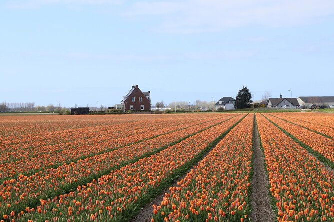 Keukenhof Gardens and Delft Guided Tour From Amsterdam - Discovering the Beauty of Tulips