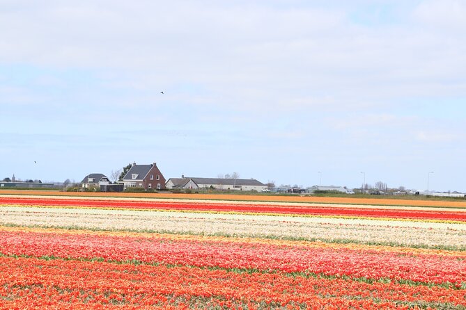 Keukenhof Gardens and Delft Guided Tour From Amsterdam - Visiting the Historic Town of Delft