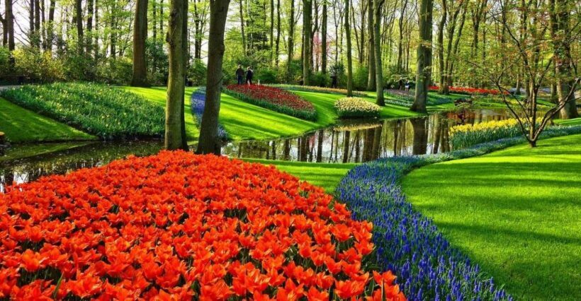 Keukenhof Gardens and Tulip Experience Tour from Amsterdam - Detailed Review of the Experience