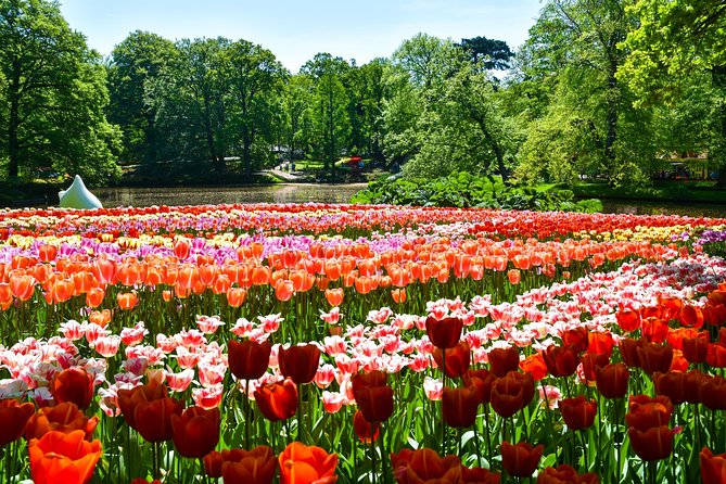 Keukenhof Gardens & Tulip Experience Tour from Amsterdam - Value for Money