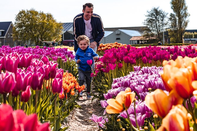 Keukenhof Gardens & Tulip Experience Tour Review - Experience Highlights