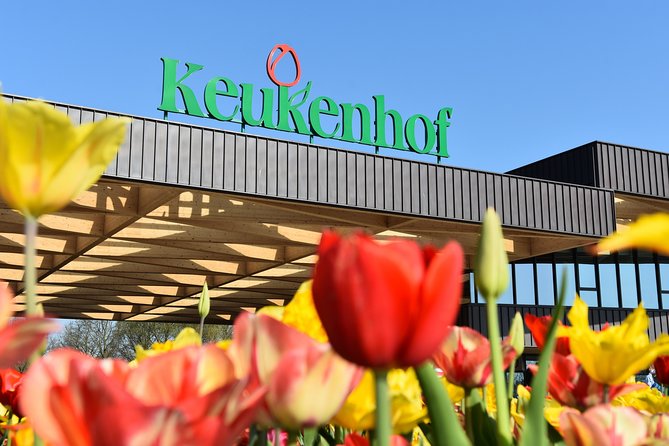 Keukenhof Gardens & Tulip Experience Tour Review - Tulip Farm Insights