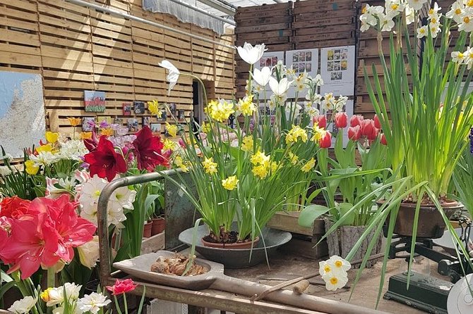 Keukenhof Skip-The-Line Tickets Countryside & Farm, Private Tour - A Private Journey Through the Dutch Countryside