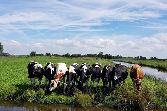 Keukenhof Skip-The-Line Tickets Countryside & Farm, Private Tour - The Unique Culture of Volendam Fishing Village