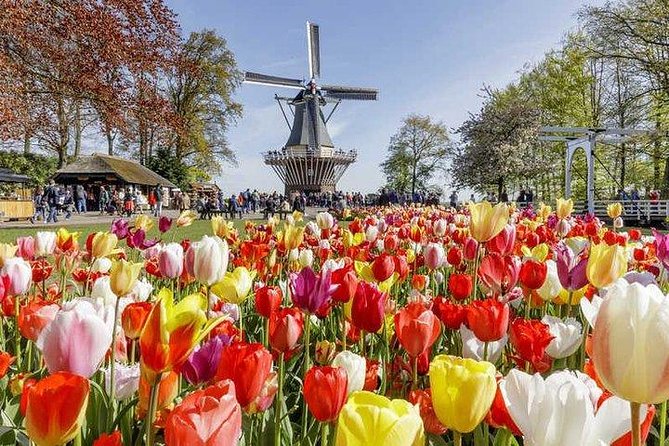 Keukenhof Skip-The-Line Tickets Countryside & Farm, Private Tour - What to Expect: Transportation and Comfort Details