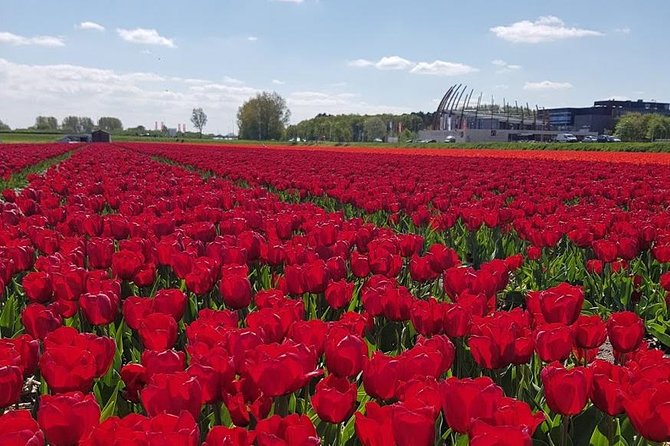 Keukenhof Skip-The-Line Tickets Countryside & Farm, Private Tour - Additional Highlights: Delft and Seaside Dining