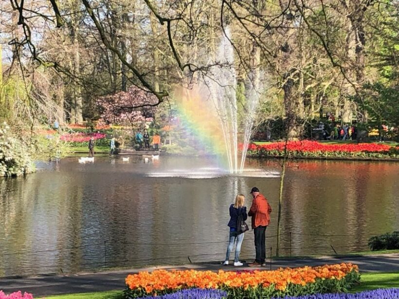 Keukenhof, Tulip Farm, Flower Fields & Windmills - The Highlights of Keukenhof & Tulip Fields