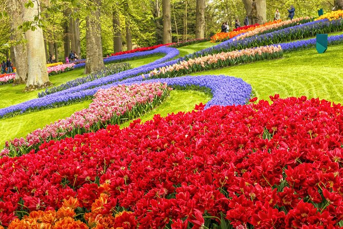 Keukenhof Tulip Garden Tour - Who Will Love This Tour?
