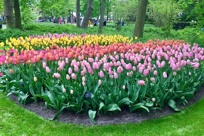 Keukenhof Tulips and Zaanse Schans Windmills Private Day Tour - Overview of the Private Day Tour