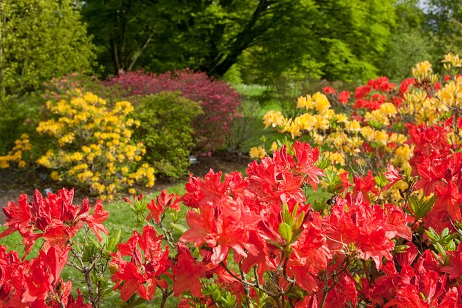 Kew Gardens Entrance Ticket - Accessibility and Amenities