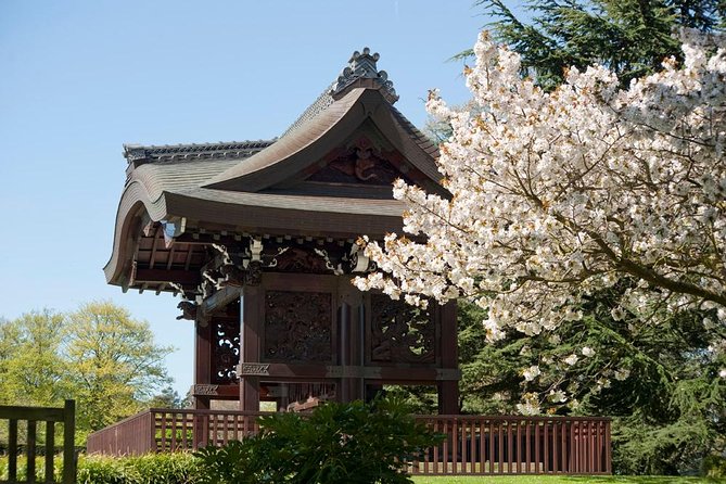 Kew Gardens Entrance Ticket - Activities and Attractions