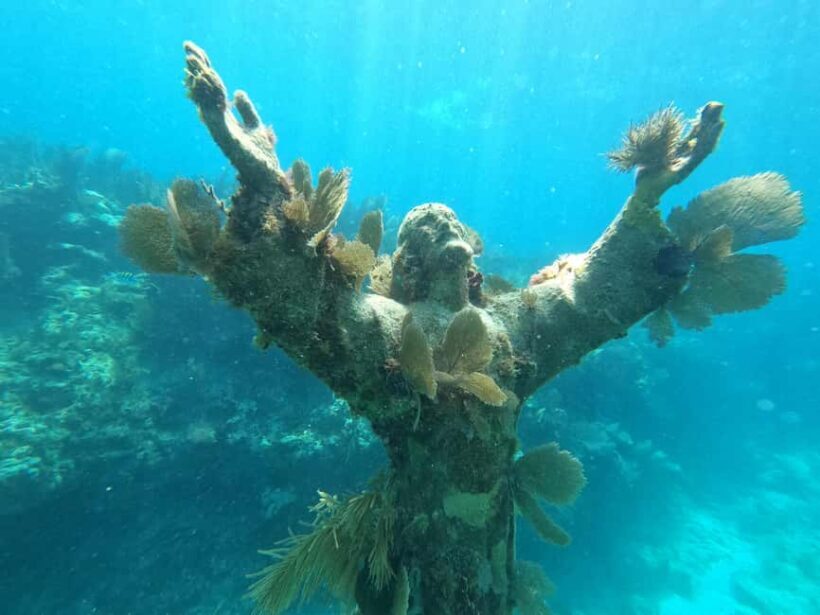 Key Largo: 2-Tank Shallow Reef Dive with Guide & Photos - Key Points