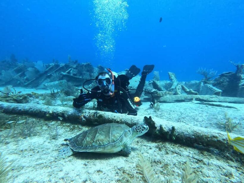 Key Largo: 2-Tank Shallow Reef Dive with Guide & Photos - Exploring the Experience: What to Expect from the Tour