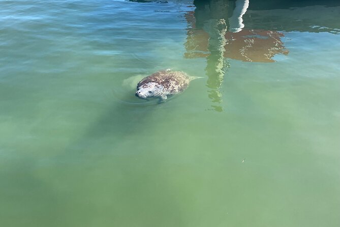 Key Largo Bay Sunset Tour - Pricing and Booking Information