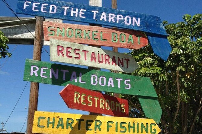 Key Largo Coral Reef Park and Sunset Celebration - Who is This Tour Best For?