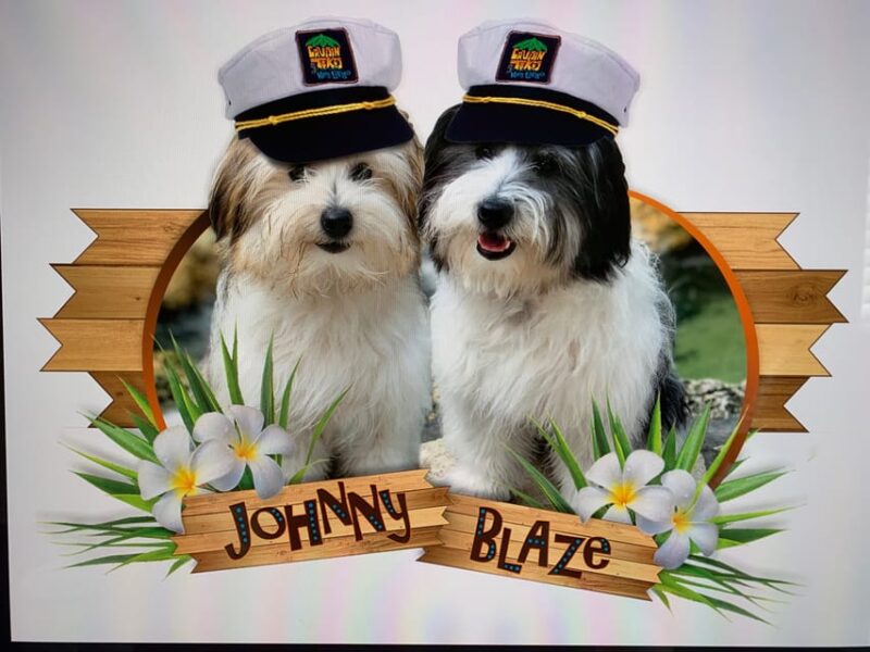 Key Largo: Cruisin' Tikis Key Largo - Day Cruise - Who Will Love This Tour?