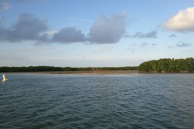 Key Largo Mangrove Private Eco-Tours - The Sum Up