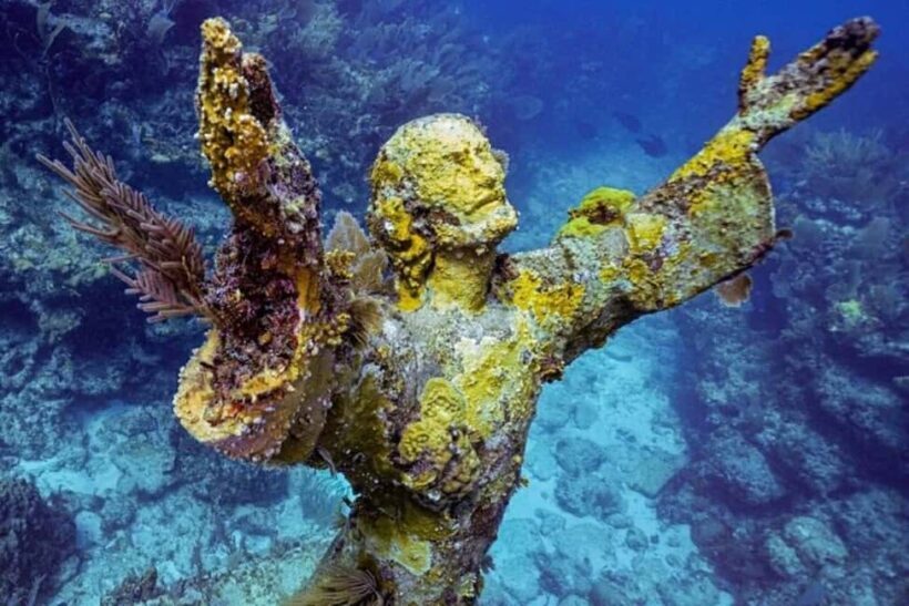 Key Largo: Snorkeling Trip - Key Points