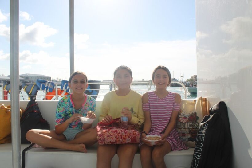 Key West: 2 Reef Snorkel With Sunset Cruise, Includes Drinks - Analyzing the Value and Who It’s For