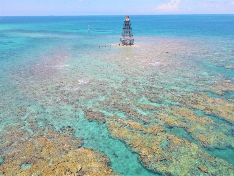 Key West: 2 Reef Snorkel With Sunset Cruise, Includes Drinks - FAQ
