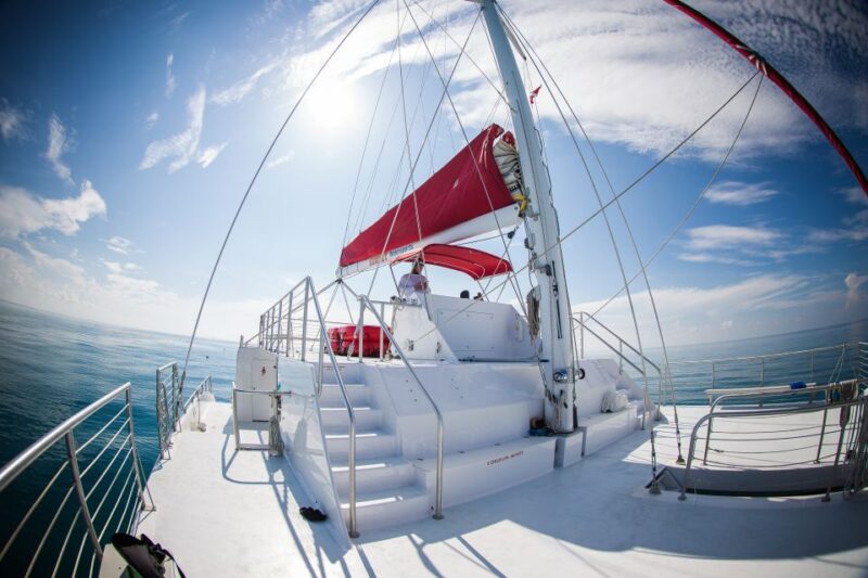 Key West: 3-Hour Afternoon Reef Snorkel with Drinks - The Return Journey: The Party Starts