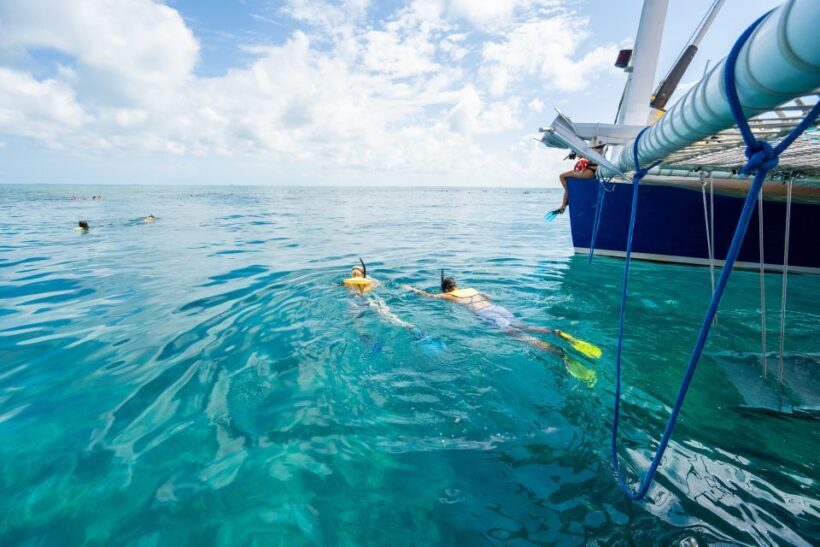 Key West: Afternoon Reef Snorkel Tour with Open Bar - An Honest Look at the Experience