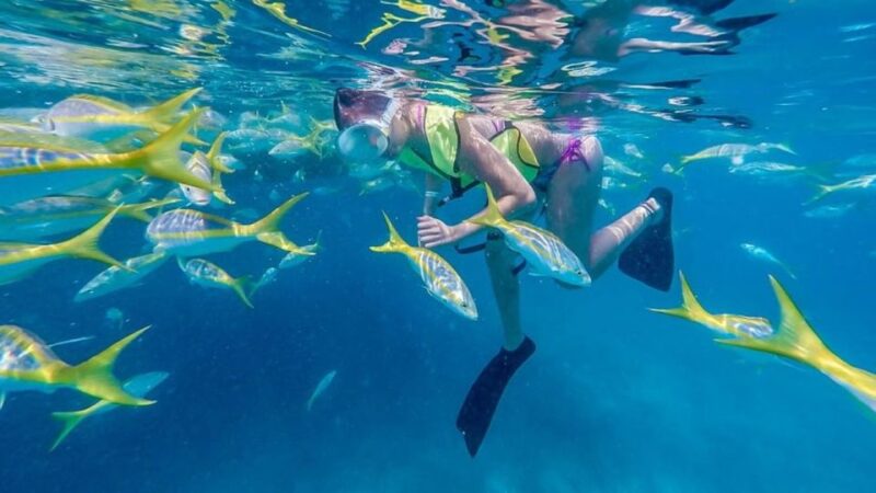 Key West: Afternoon Reef Snorkel Tour with Open Bar - What to Expect Onboard