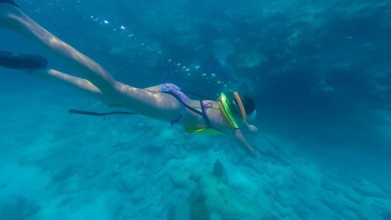 Key West: Afternoon Reef Snorkel Tour with Open Bar - Practical Details and Tips