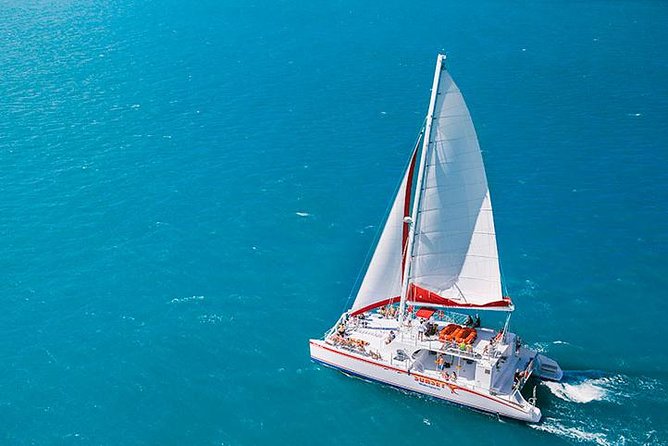 Key West Afternoon Reef Snorkeling with Open Bar - Final Thoughts: Is this tour right for you?