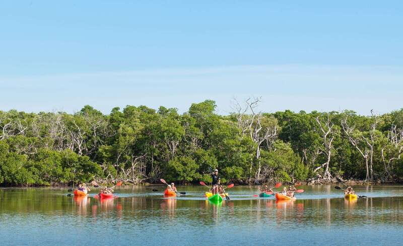 Key West Afternoon Sail, Snorkel, Kayak & Sunset Excursion - The Real-World Reviews