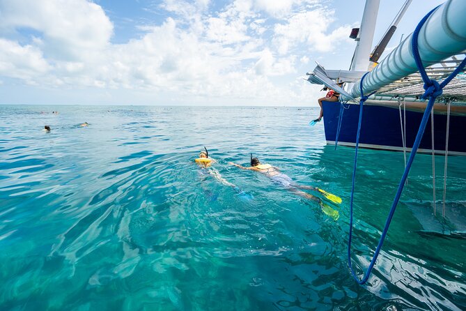 Key West Afternoon Snorkel Sail With Unlimited Cocktails! - Safety Guidelines and Recommendations