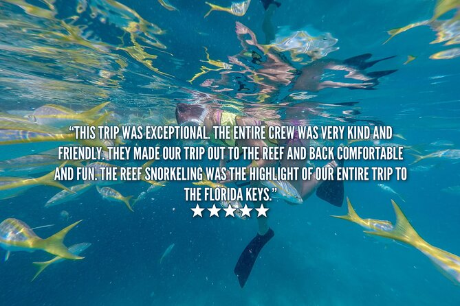Key West Afternoon Snorkel Sail With Unlimited Cocktails! - Guest Experiences and Ratings