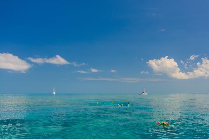 Key West Afternoon Snorkel Sail With Unlimited Cocktails! - Why This Tour Is a Key West Must-Do